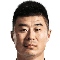 Han Peng FM 2019 Profile, Reviews