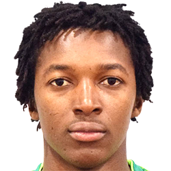 Vorskla FM 2020 Players Review, Profiles