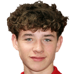 Wolves FM 2020 Players Review, Profiles