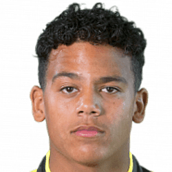 Million Manhoef FM 2020 Profile, Reviews