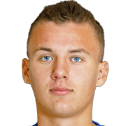 Alex Holub FM 2020 Profile, Reviews