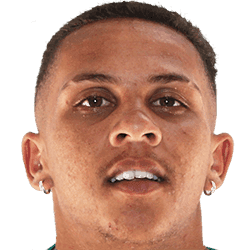 Devron Serfontein FM 2020 Profile, Reviews