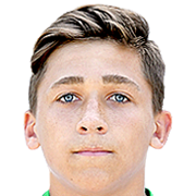 Karpaty FM 2020 Players Review, Profiles