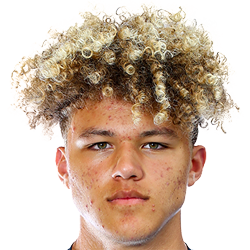 Matthew Hall FM 2021 Profile, Reviews