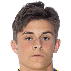 Gabriel Delin FM 2021 Profile, Reviews